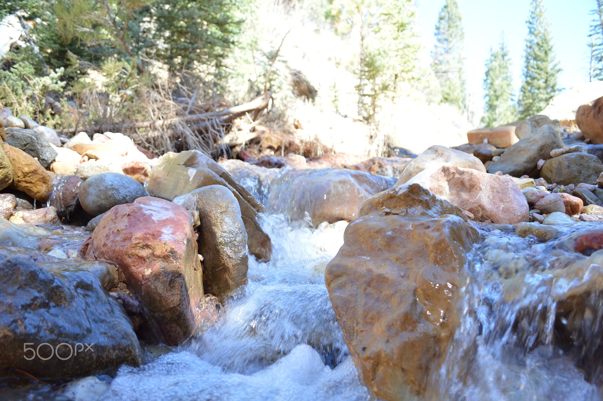 The Art of Taking Cold Baths: Techniques for Recovery